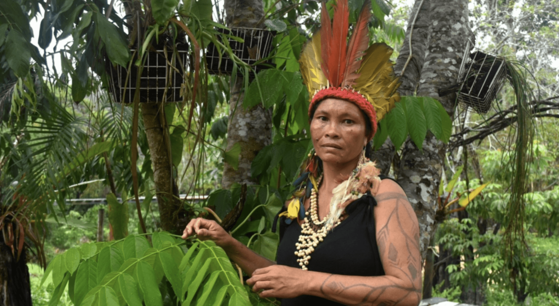 Here First: UNFPA's Work with Indigenous Communities - USA for UNFPA